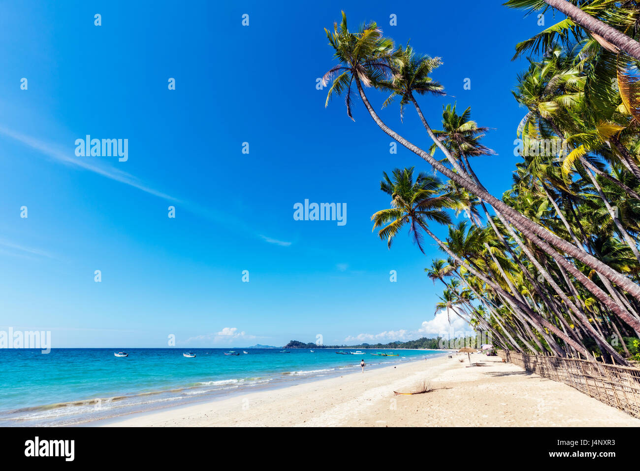 Stock Photo - Sandy beach under palm trees in Ngapali Beach, Thandwe ...