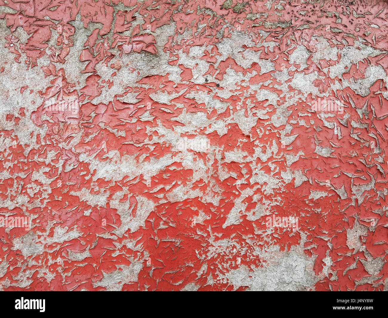 Bright red paint, pieces, flakes peel off the old light-colored ...