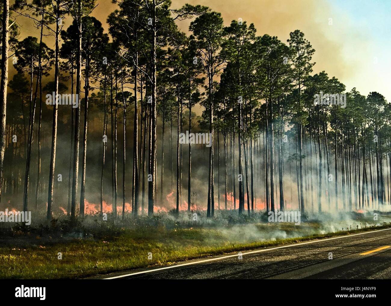 Flames and smoke from the West Mims wildfire spreading across the ...