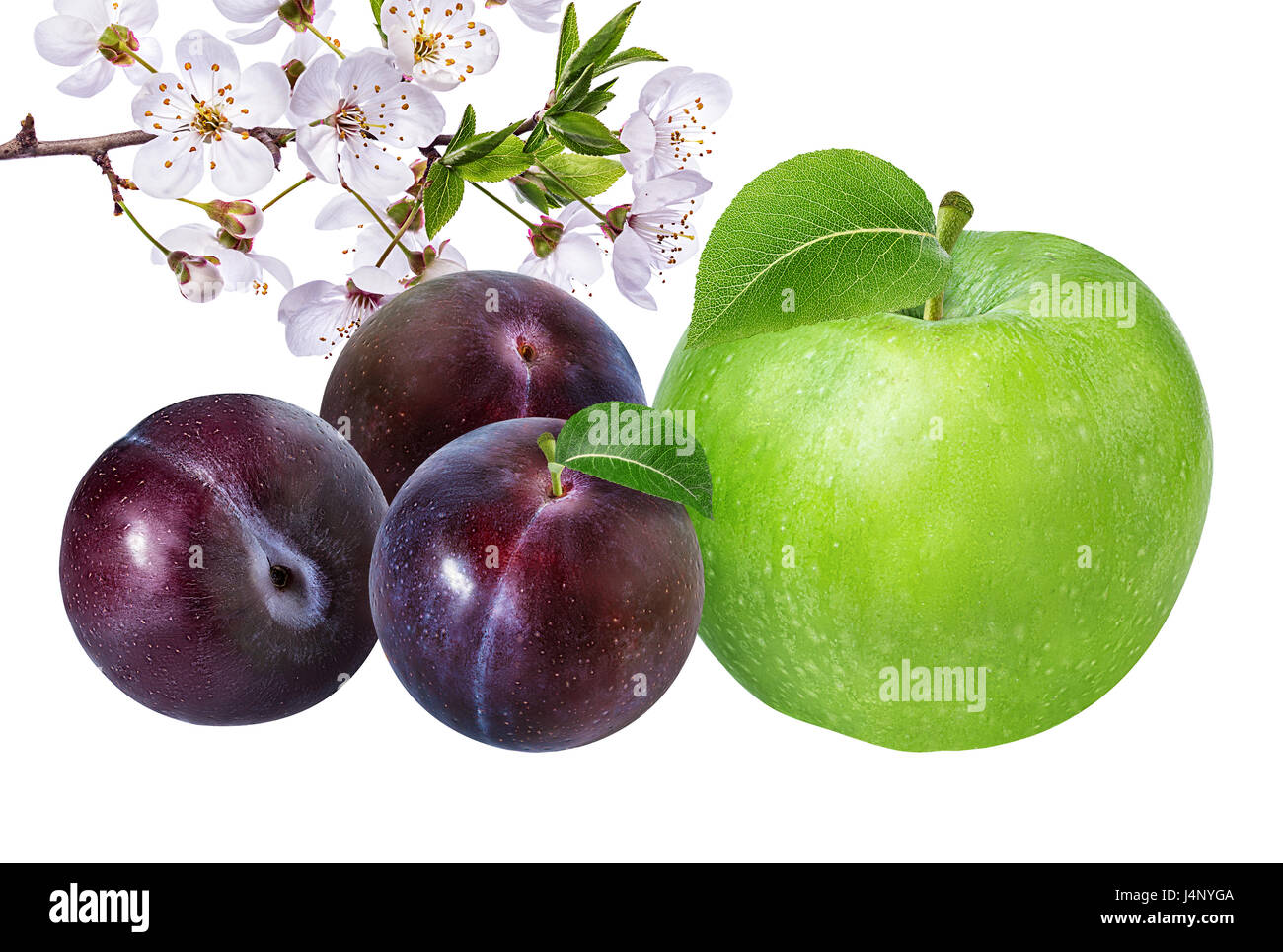 apples and plum isolated on white background Stock Photo - Alamy