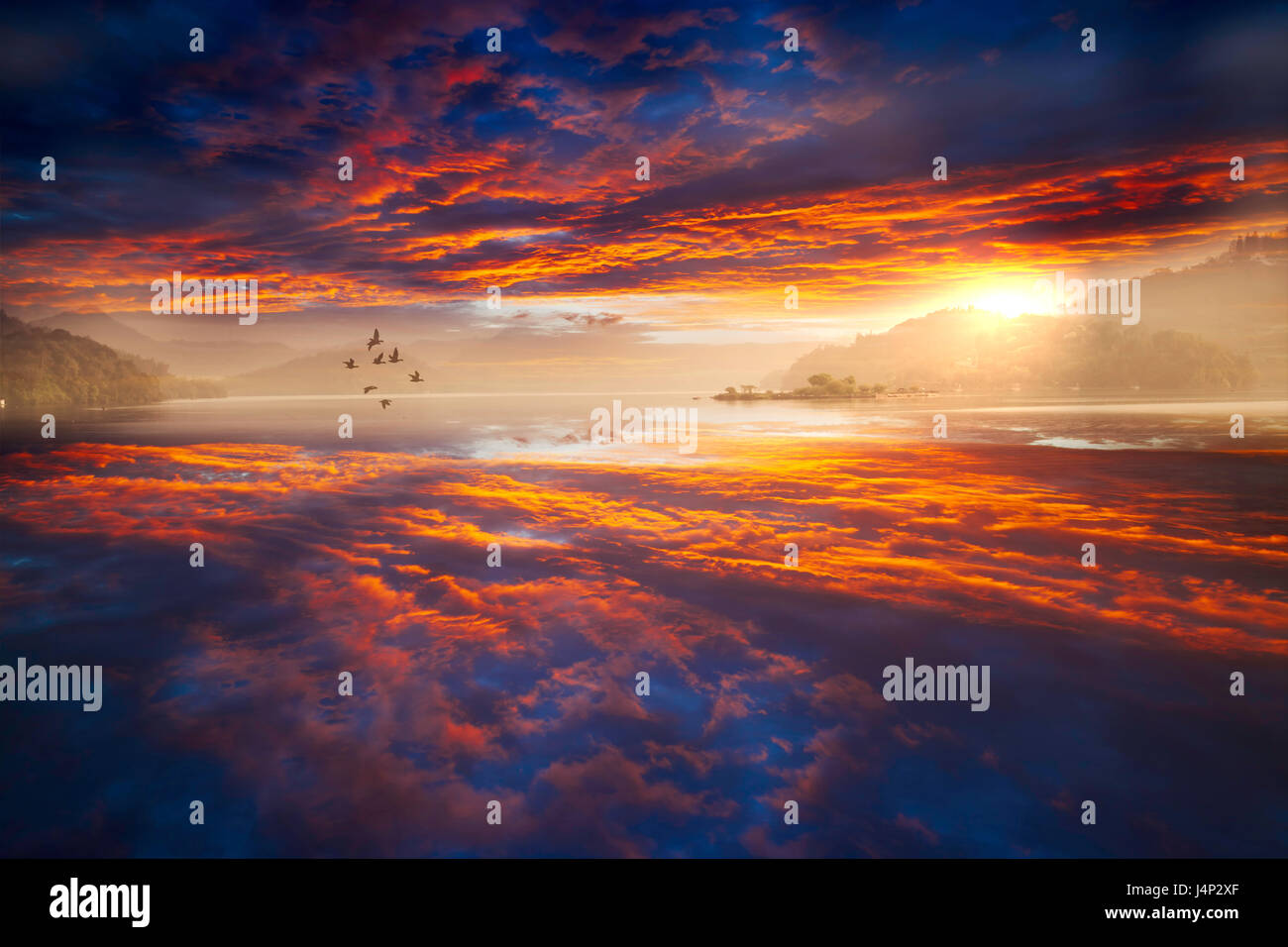 The beautiful landscape with a some bird flying Stock Photo - Alamy