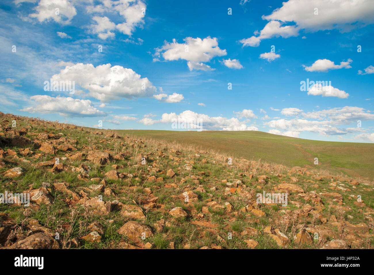 The land around Bombala is marginal. The weather is tough, cold in ...