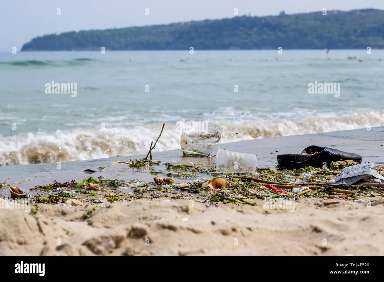 The pollution of the sea affects the climate and kills all life in the ...