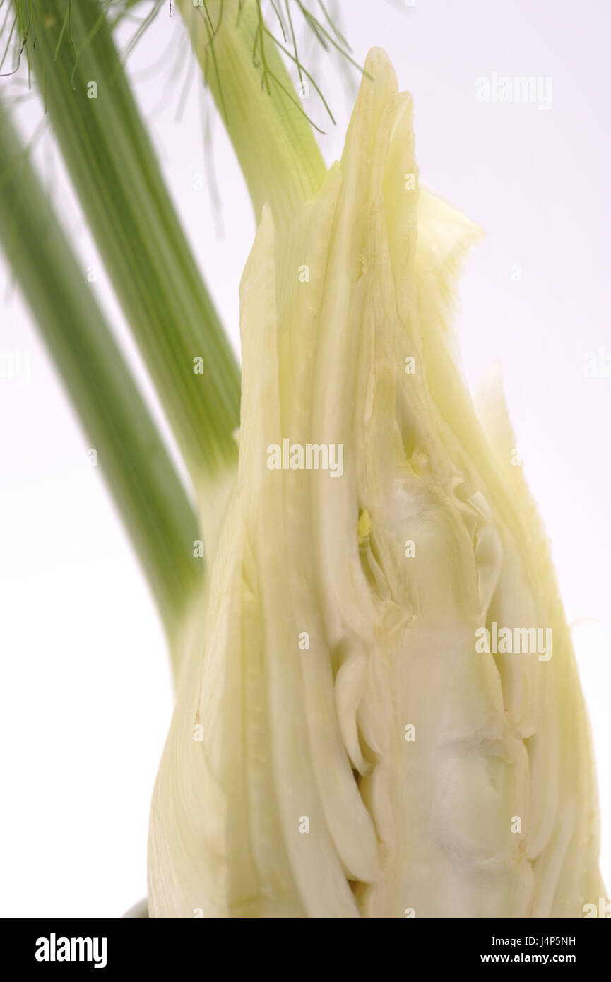 Real fennel hi-res stock photography and images - Alamy