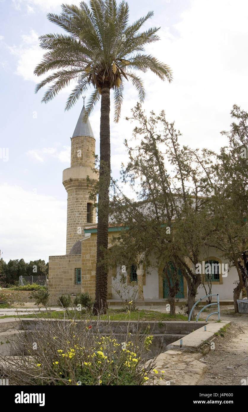 Cyprus, Nicosia, Bayraktar mosque, minaret, palm, Mediterranean island ...