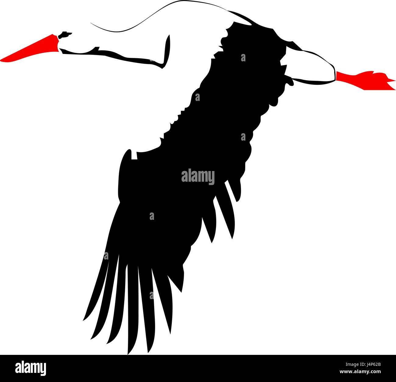 White stork ciconia ciconia flight Stock Vector Images - Alamy