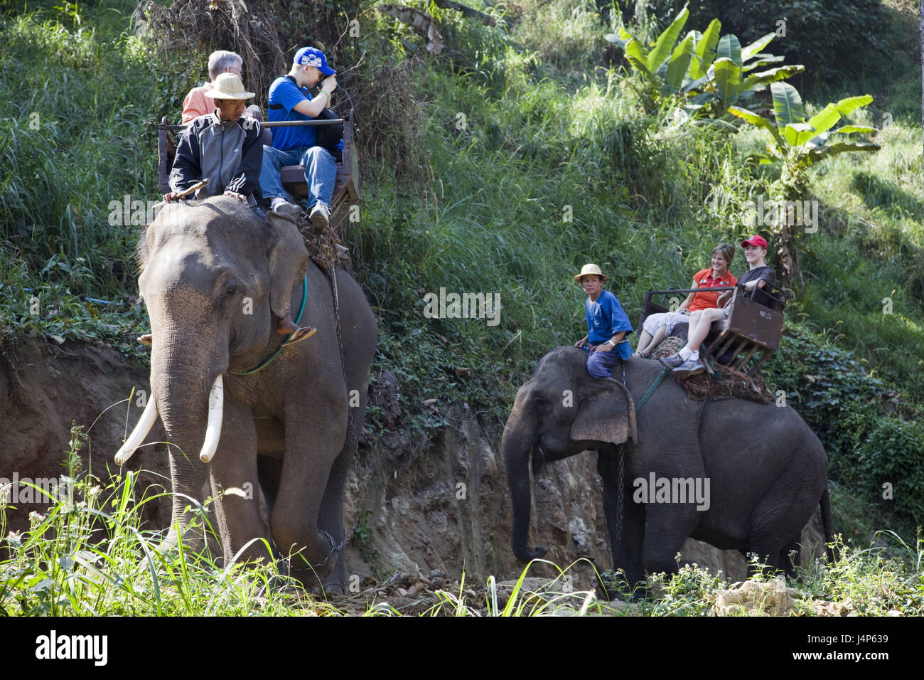 People riding elephant hi-res stock photography and images - Alamy