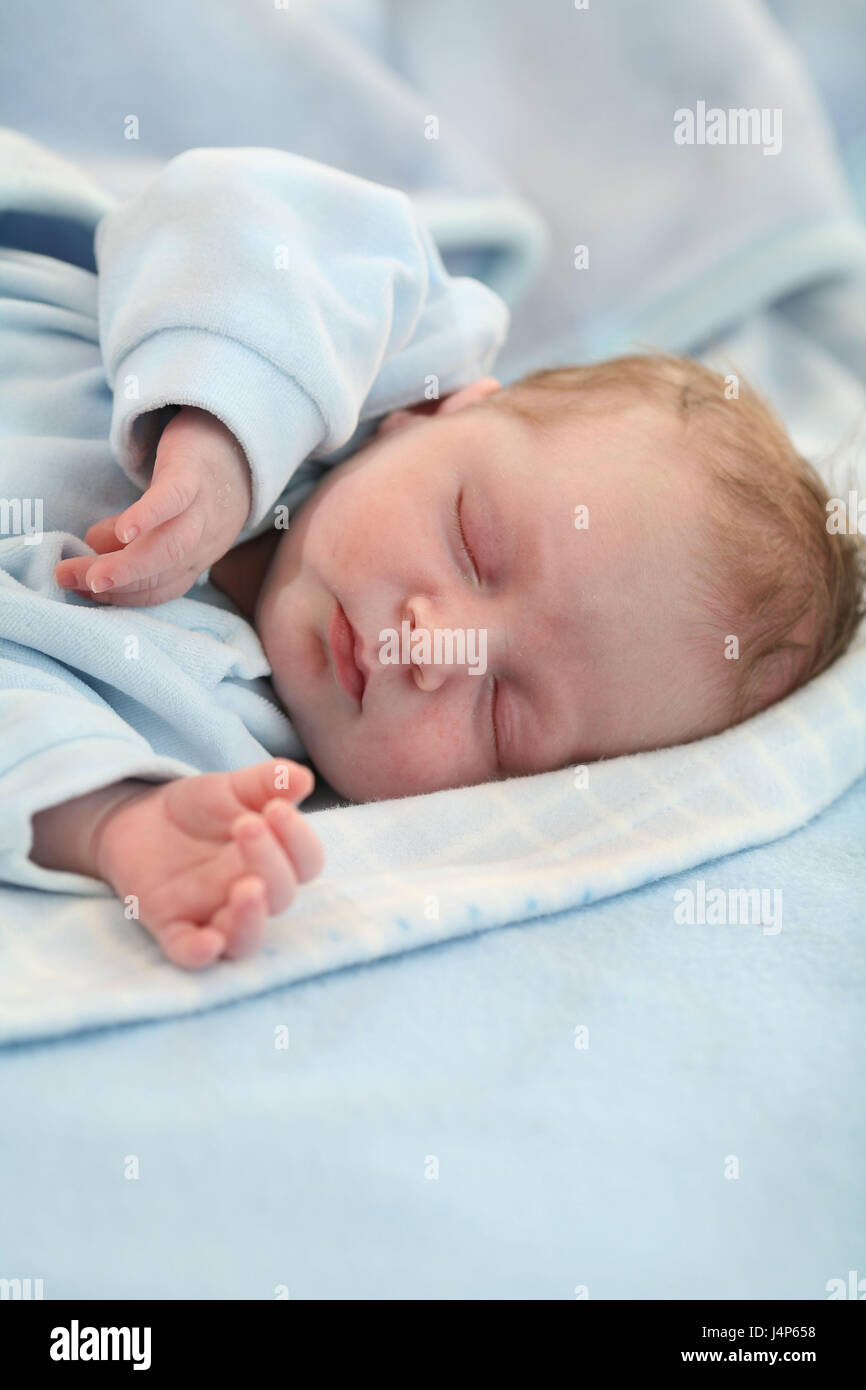 Baby, 2 months, sleep, portrait, model released, people, child, infant ...