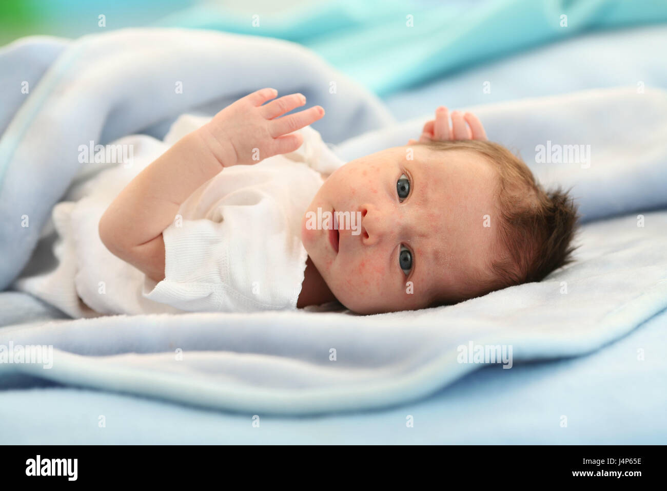 Baby, 1 month, back position, model released, people, child, newborn ...