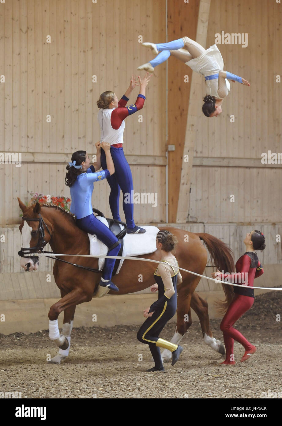 Horse acrobatics hi-res stock photography and images - Alamy