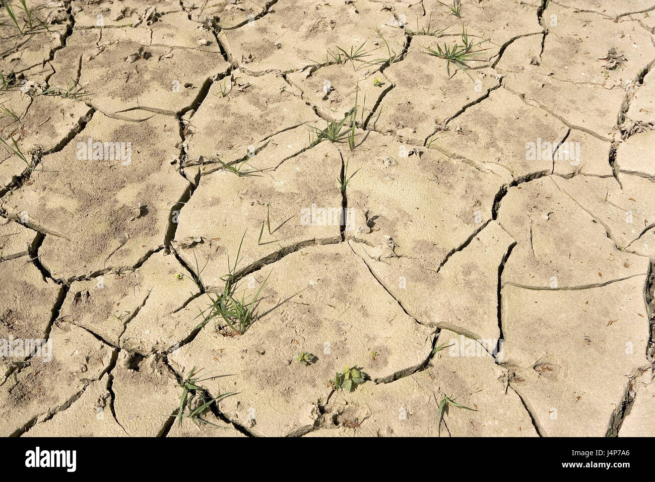 Cracked parched ground hi-res stock photography and images - Alamy
