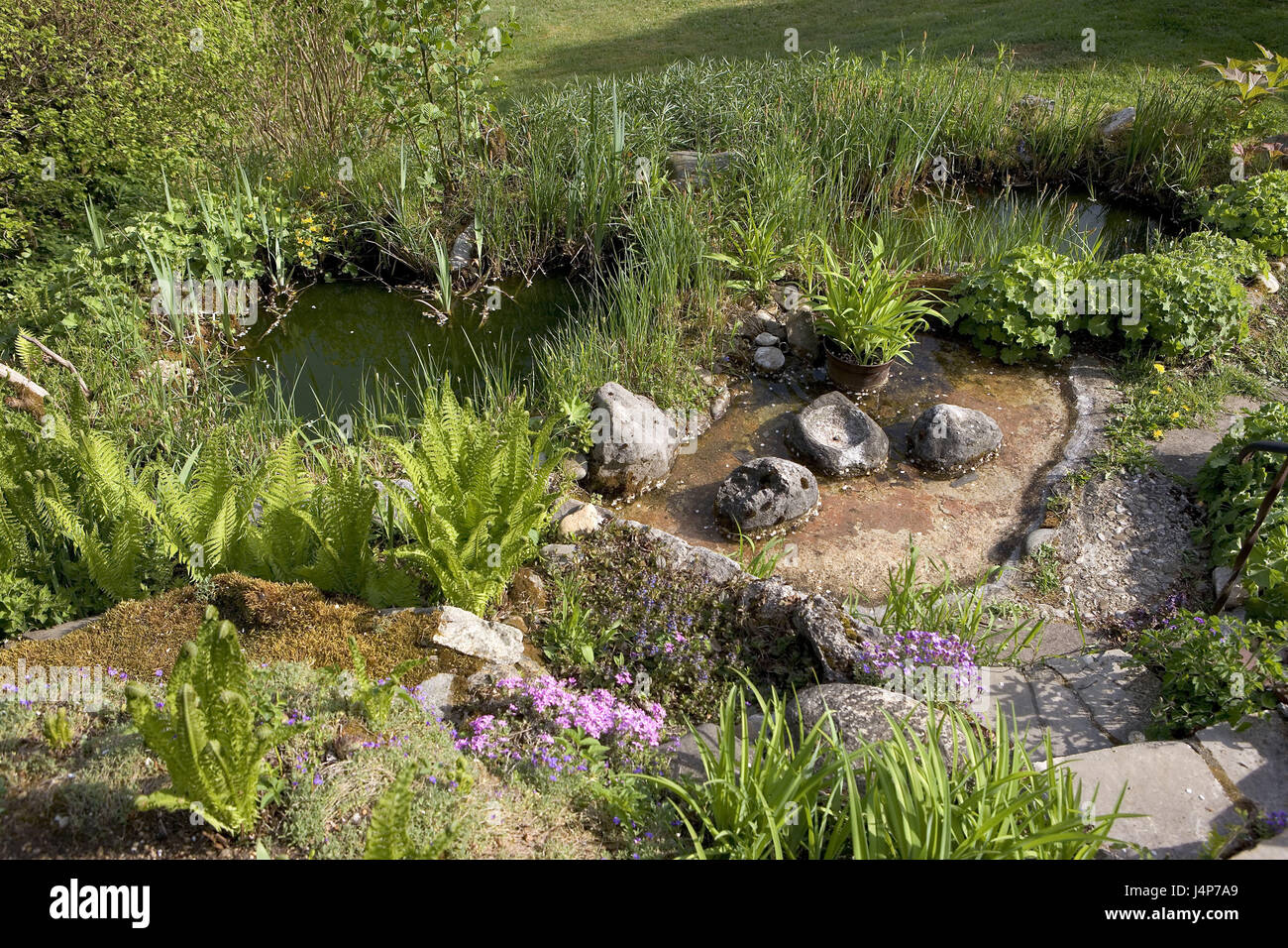 Garden ponds hi-res stock photography and images - Alamy