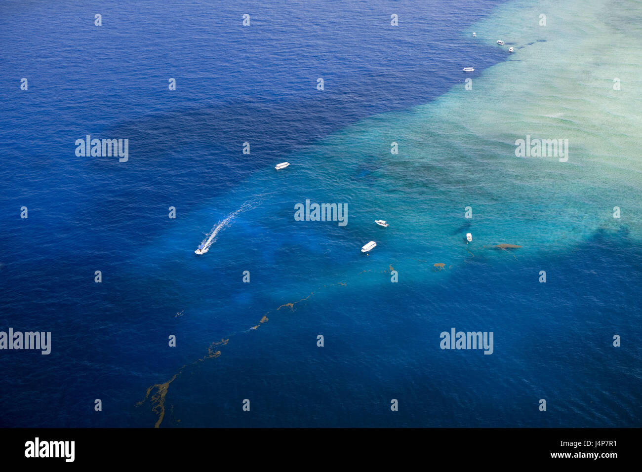 Palau, rock of Iceland, sea, diving space Blue corner, aerial shots ...