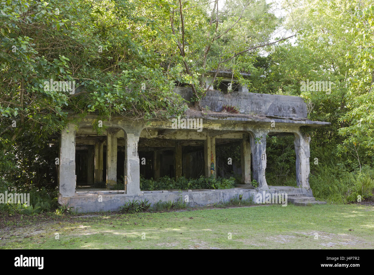 Palau, island Peleliu, Japanese headquarters, 2nd world war, ruin Stock ...