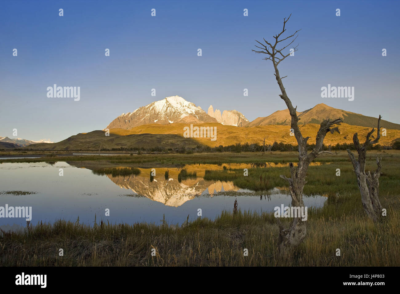 Patagonia azul biosphere reserve hi-res stock photography and images ...