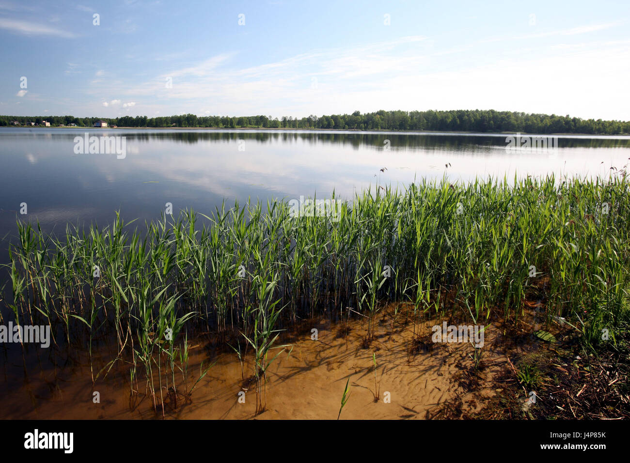 Lithuania, Druskininkai, Grutas, scenery, lake Stock Photo - Alamy