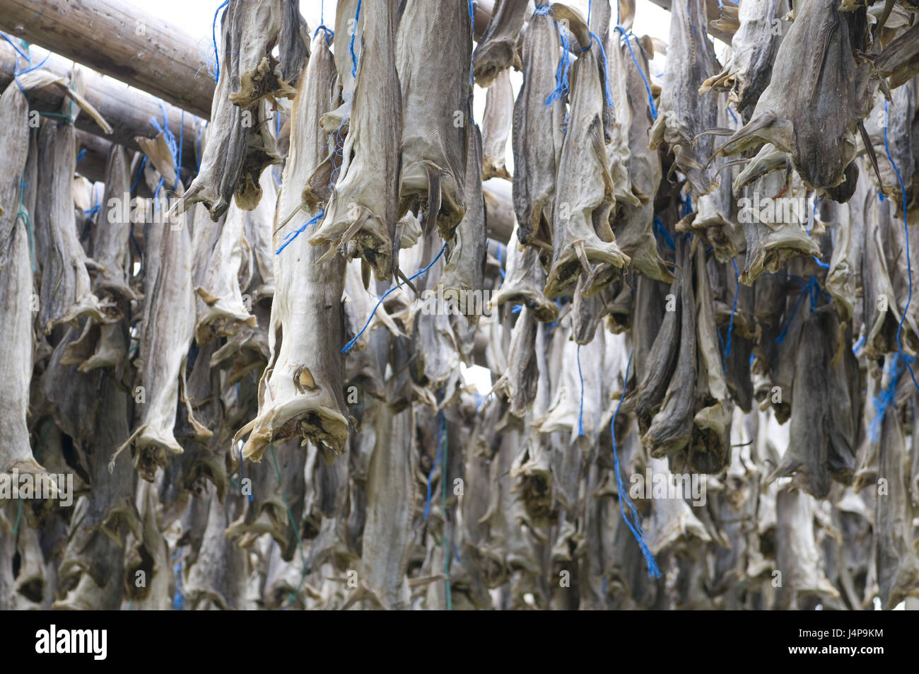 Dried fish iceland hi-res stock photography and images - Alamy