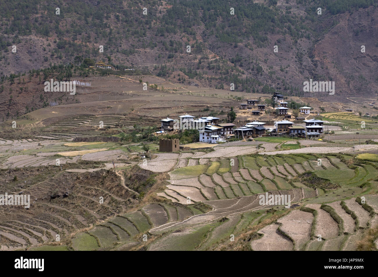 View, terrace scenery, Chimi Lhakhang, Bhutan Stock Photo - Alamy