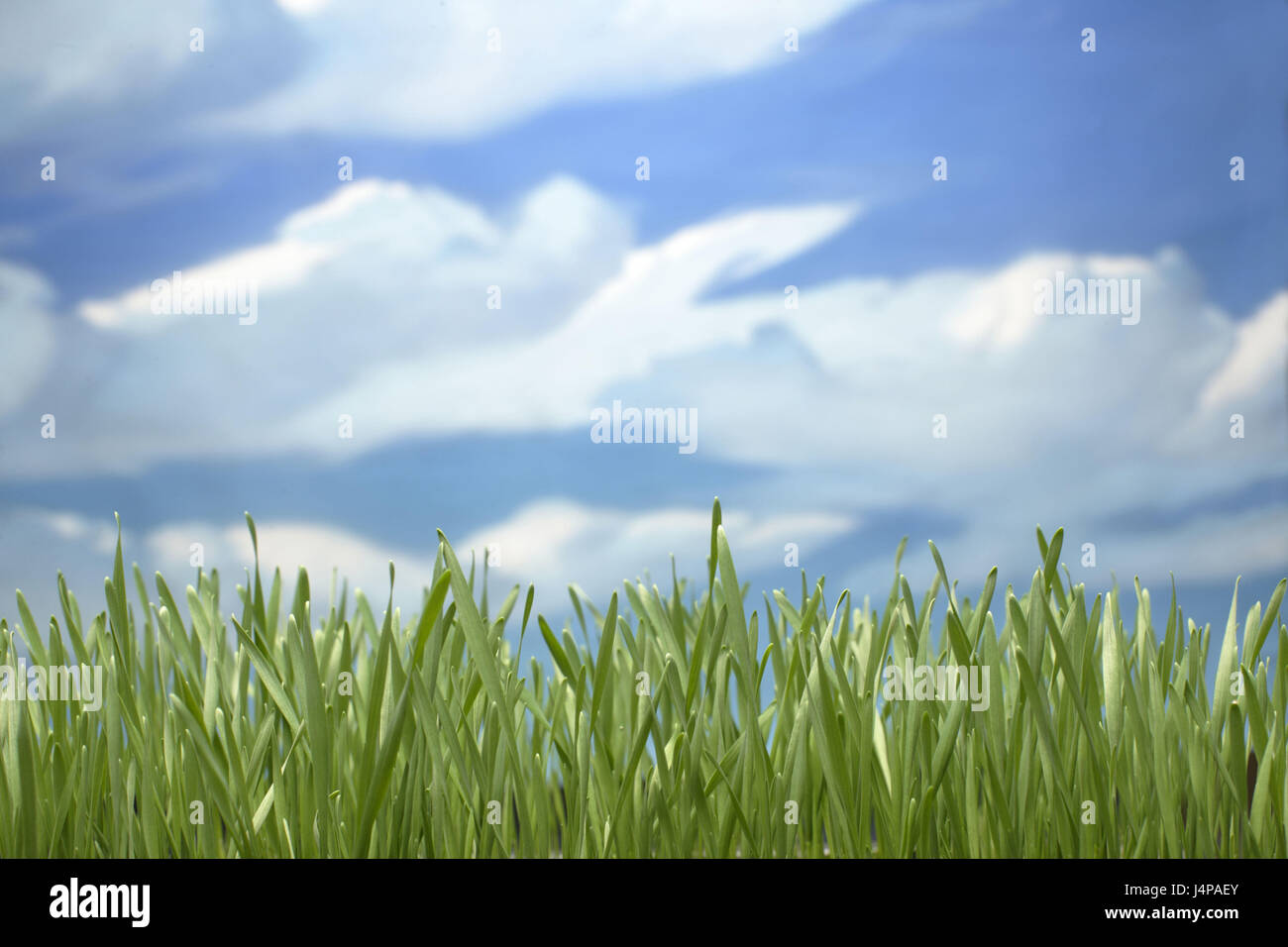 Heaven photos hi-res stock photography and images - Alamy