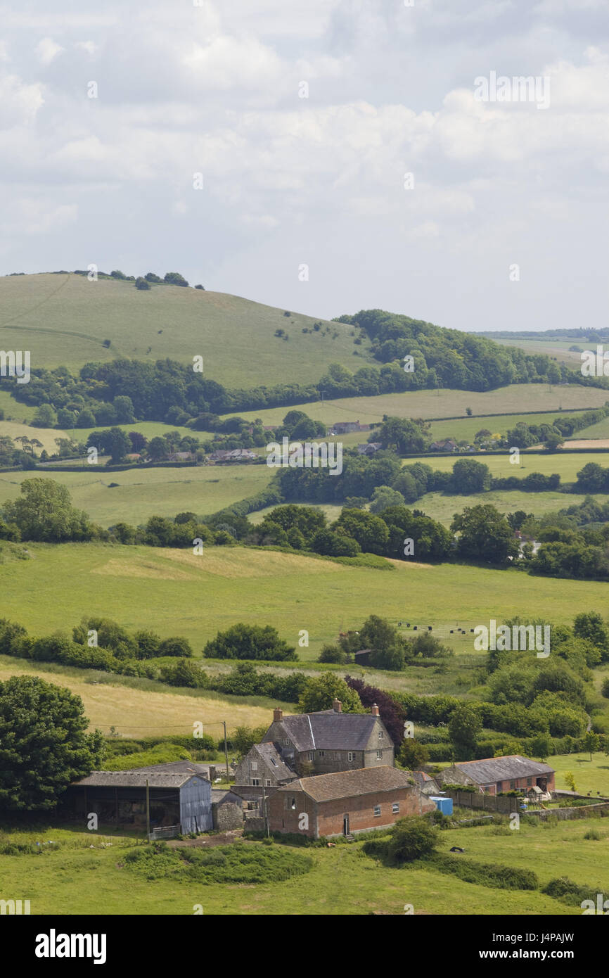 Great Britain, England, Dorset, scenery, farm Stock Photo - Alamy