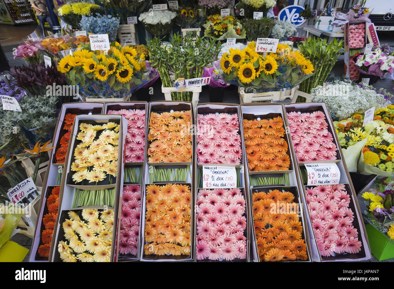 Flower shop hi-res stock photography and images - Alamy