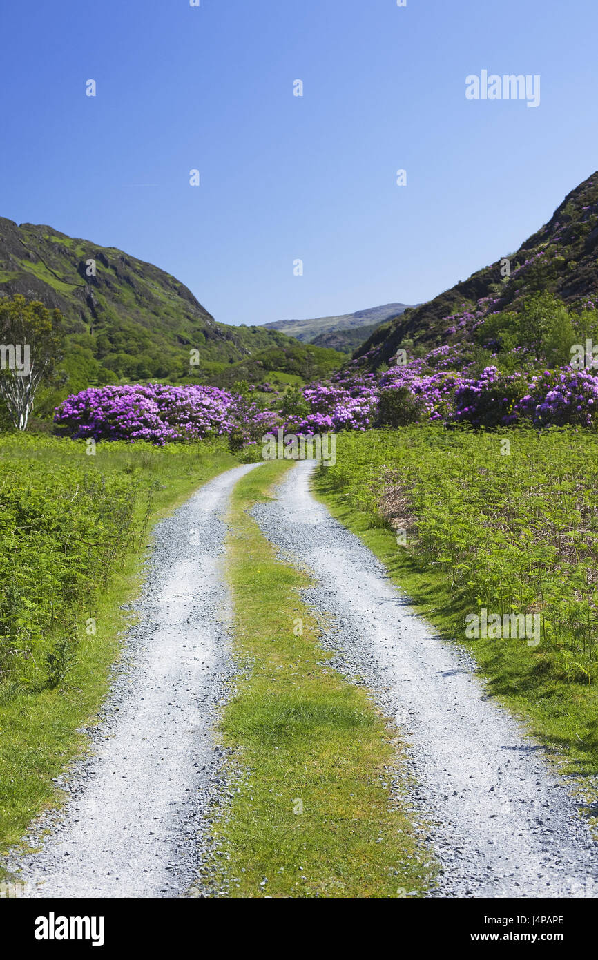 Wales, Gwynedd, Snowdonia national park, mountain landscape, way ...