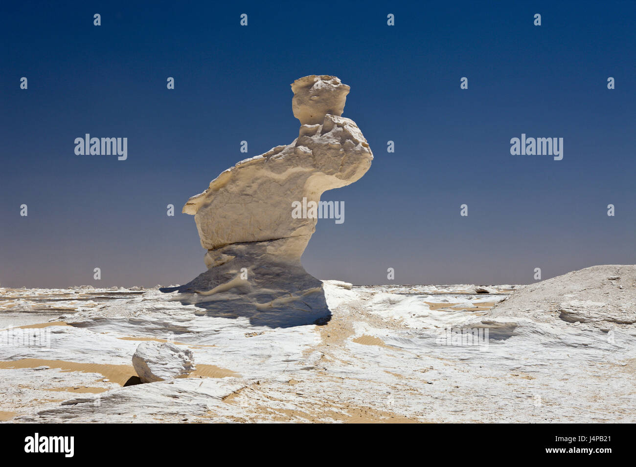 Characters and formations from limestone in national park white desert ...