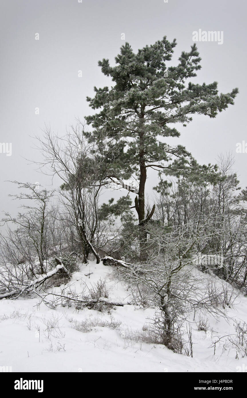 Smiltyne lithuania hi-res stock photography and images - Alamy