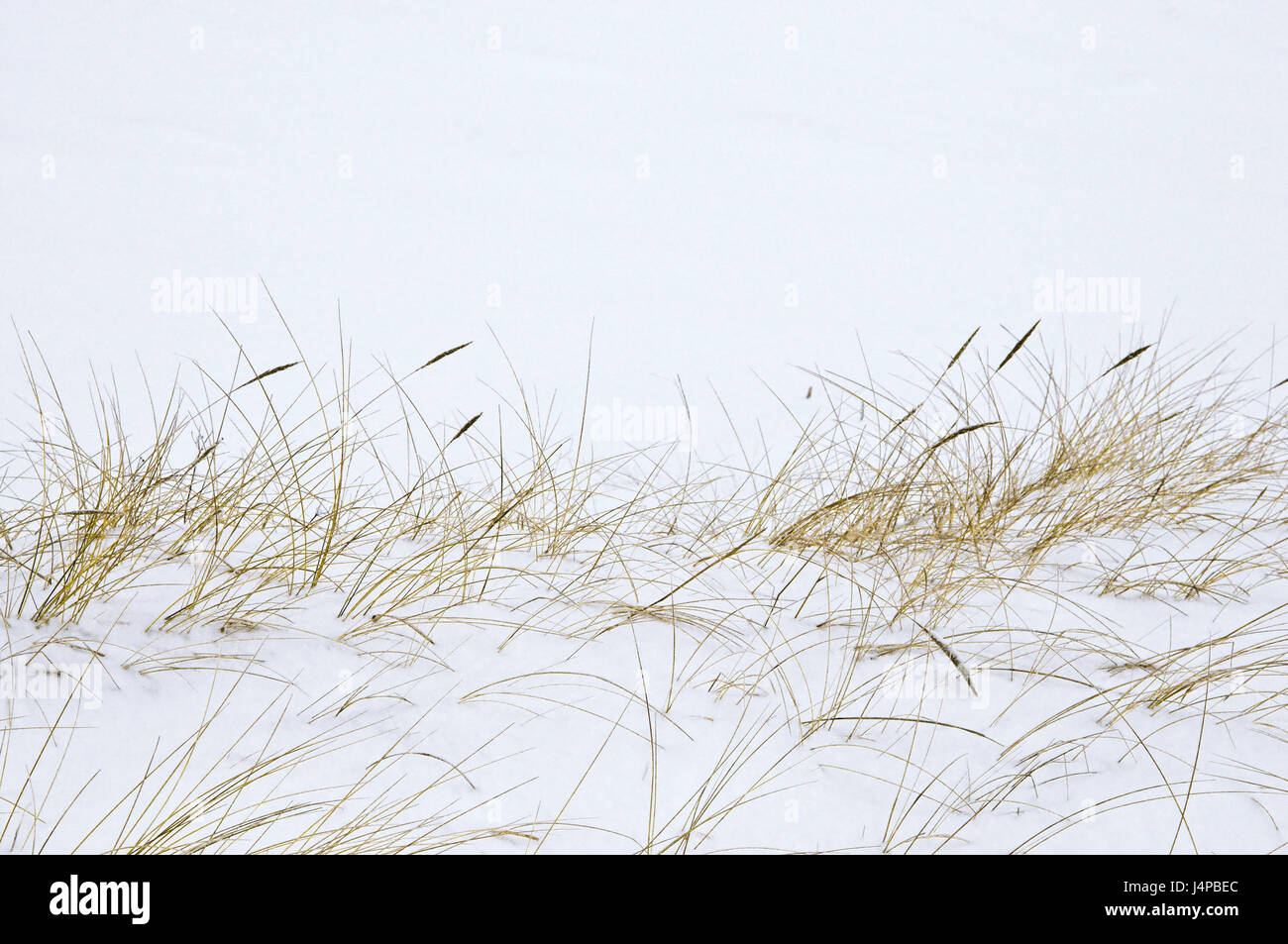 Snow surface, grass Stock Photo - Alamy