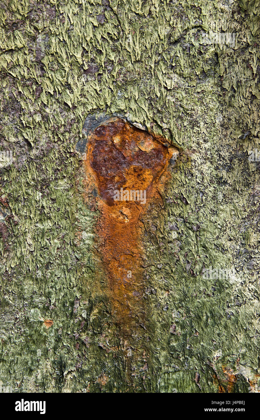 Sample of rusty metal hi-res stock photography and images - Alamy