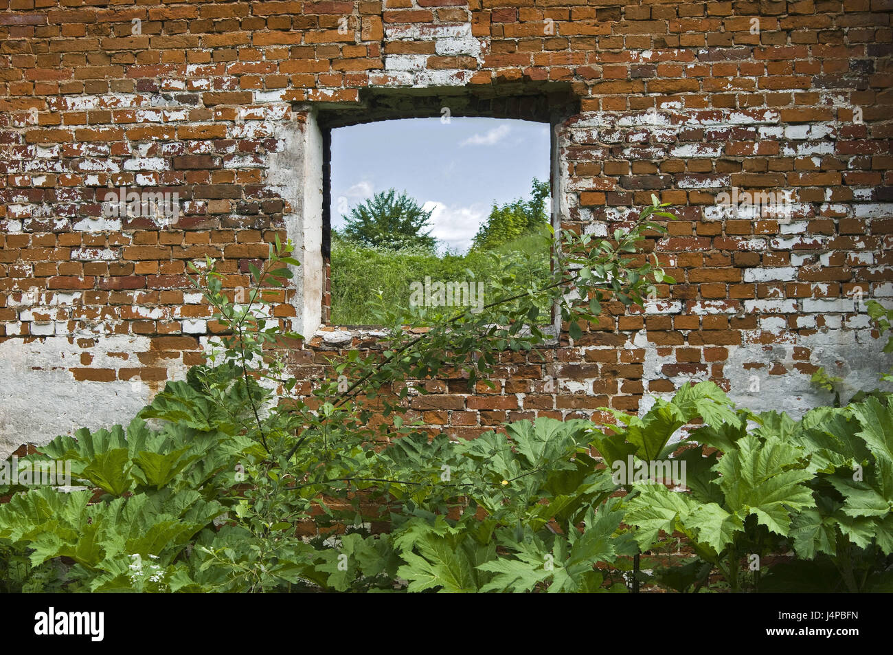 Brick defensive wall, detail, window, weed Stock Photo - Alamy