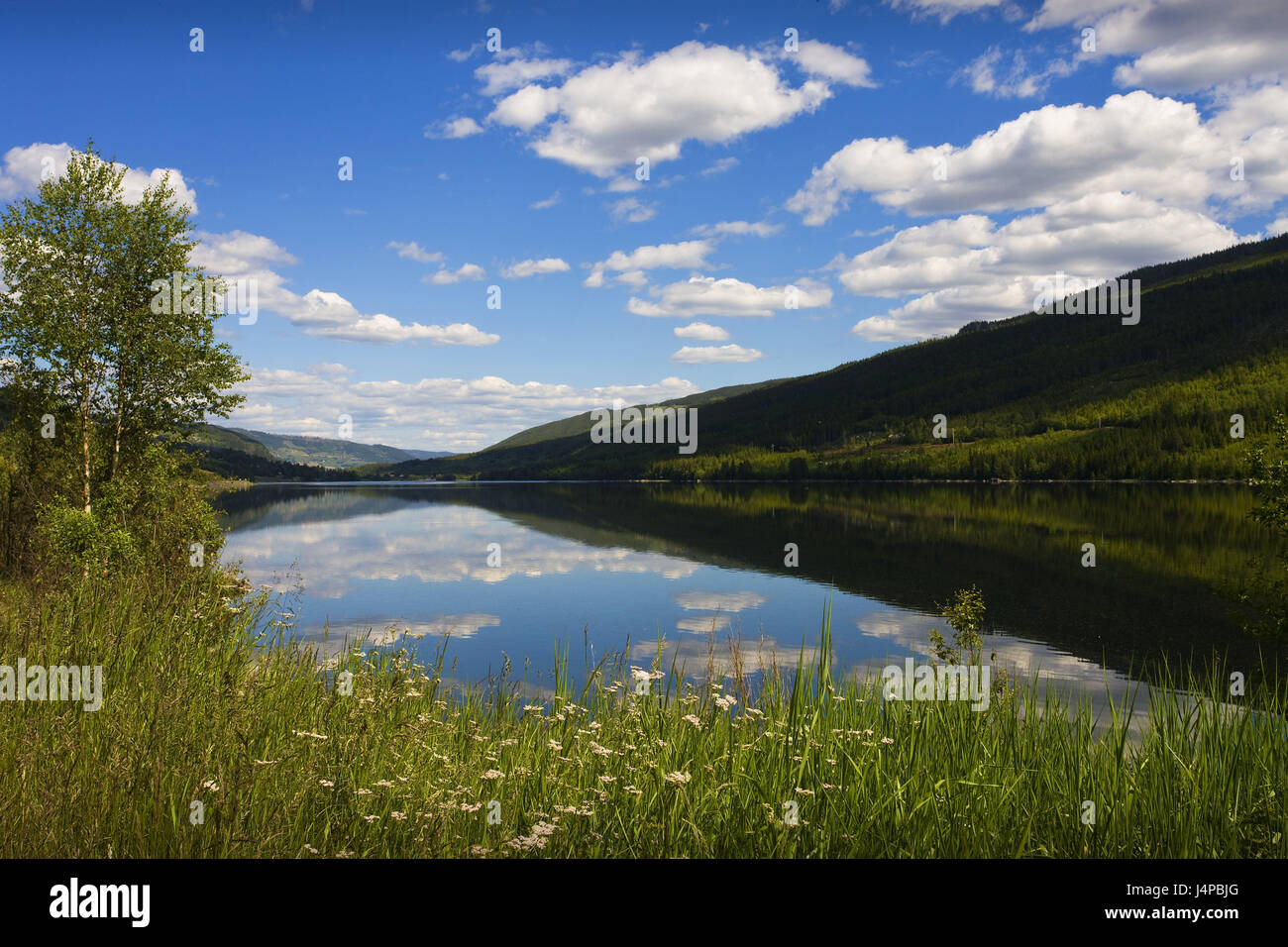 Halnefjorden hi-res stock photography and images - Alamy