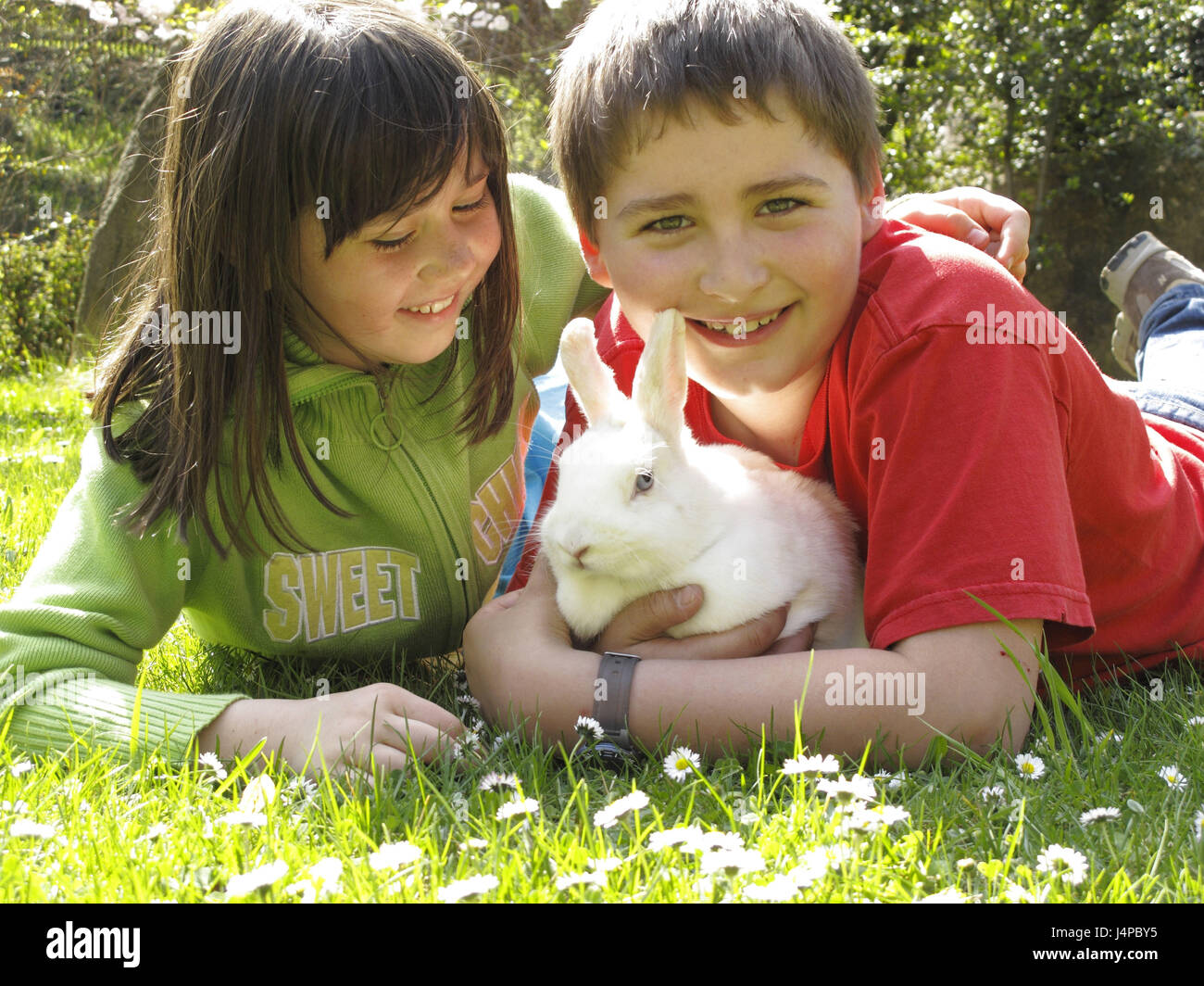 Children with rabbit, girl, 8 years, boy, 9 years, meadow, lie Stock ...