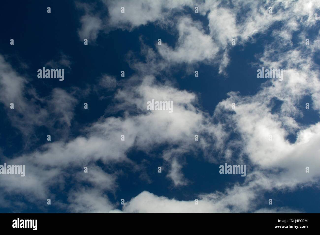 Fair weather cumulus clouds with strong blue sky Stock Photo - Alamy