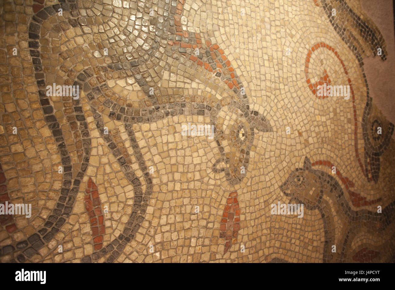 Roman mosaic britain hi-res stock photography and images - Alamy