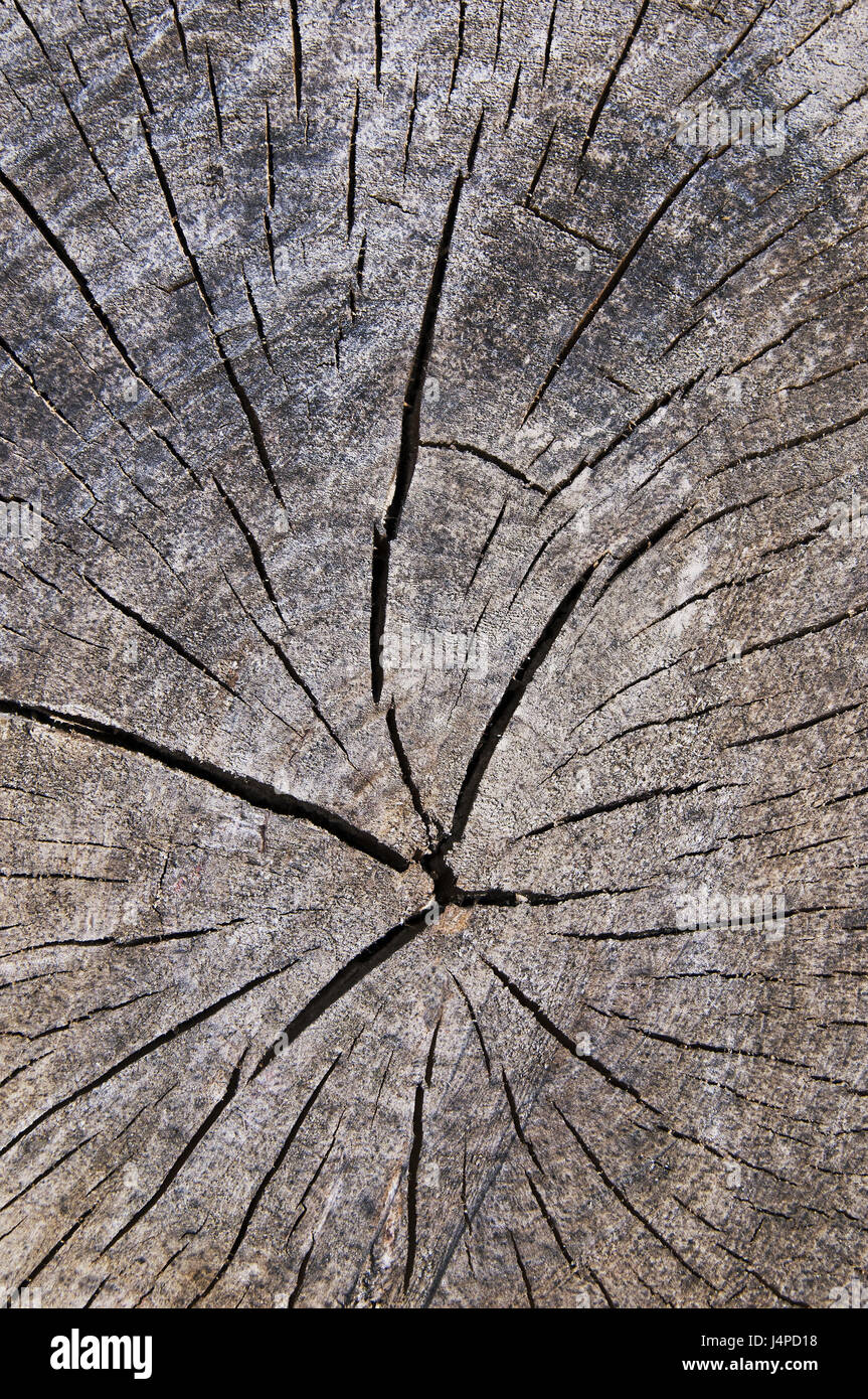 Sectional area hi-res stock photography and images - Alamy