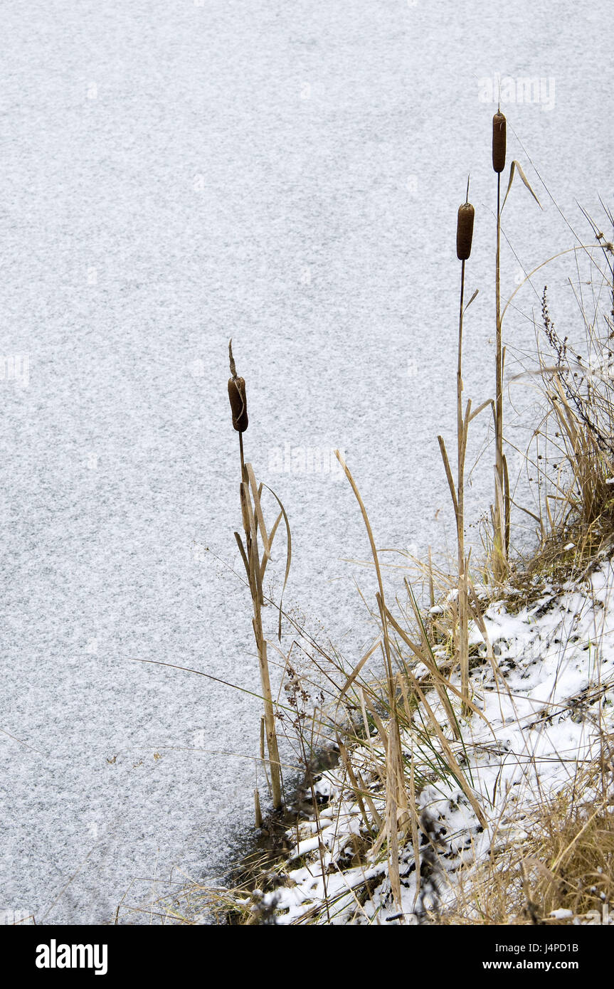 Lakeside snow ice cover hi-res stock photography and images - Alamy