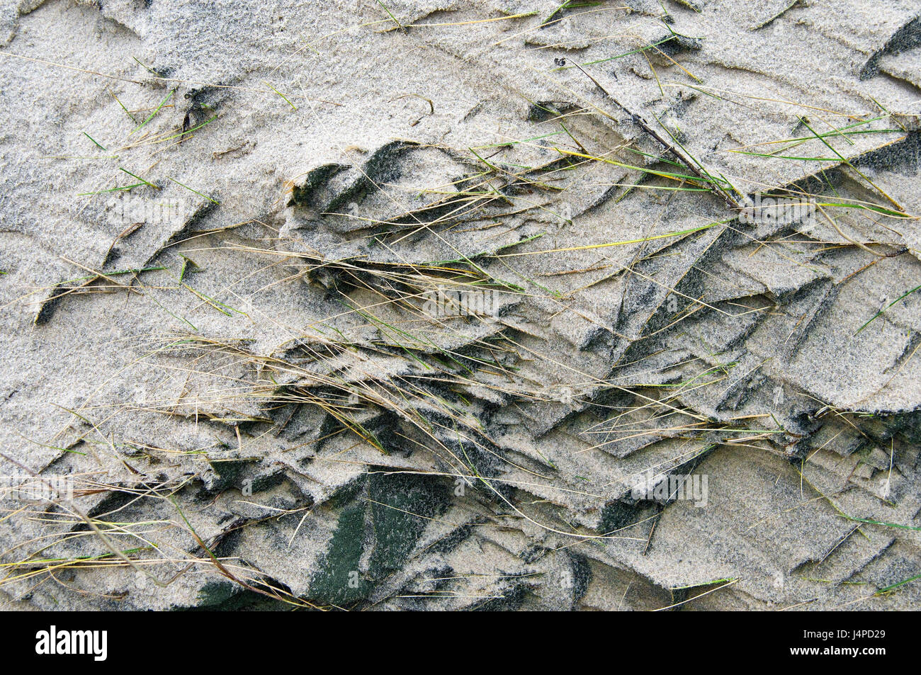 Sample of sandy soil hi-res stock photography and images - Alamy