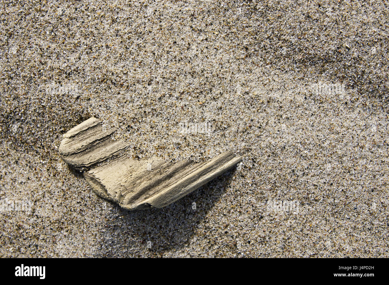 Sandy soil sample hi-res stock photography and images - Alamy