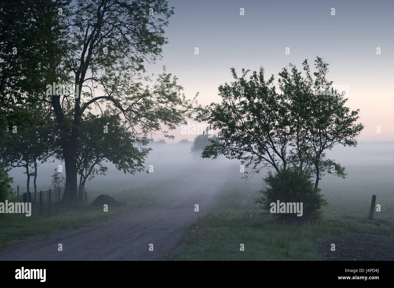 Country lane sunrise hi-res stock photography and images - Alamy