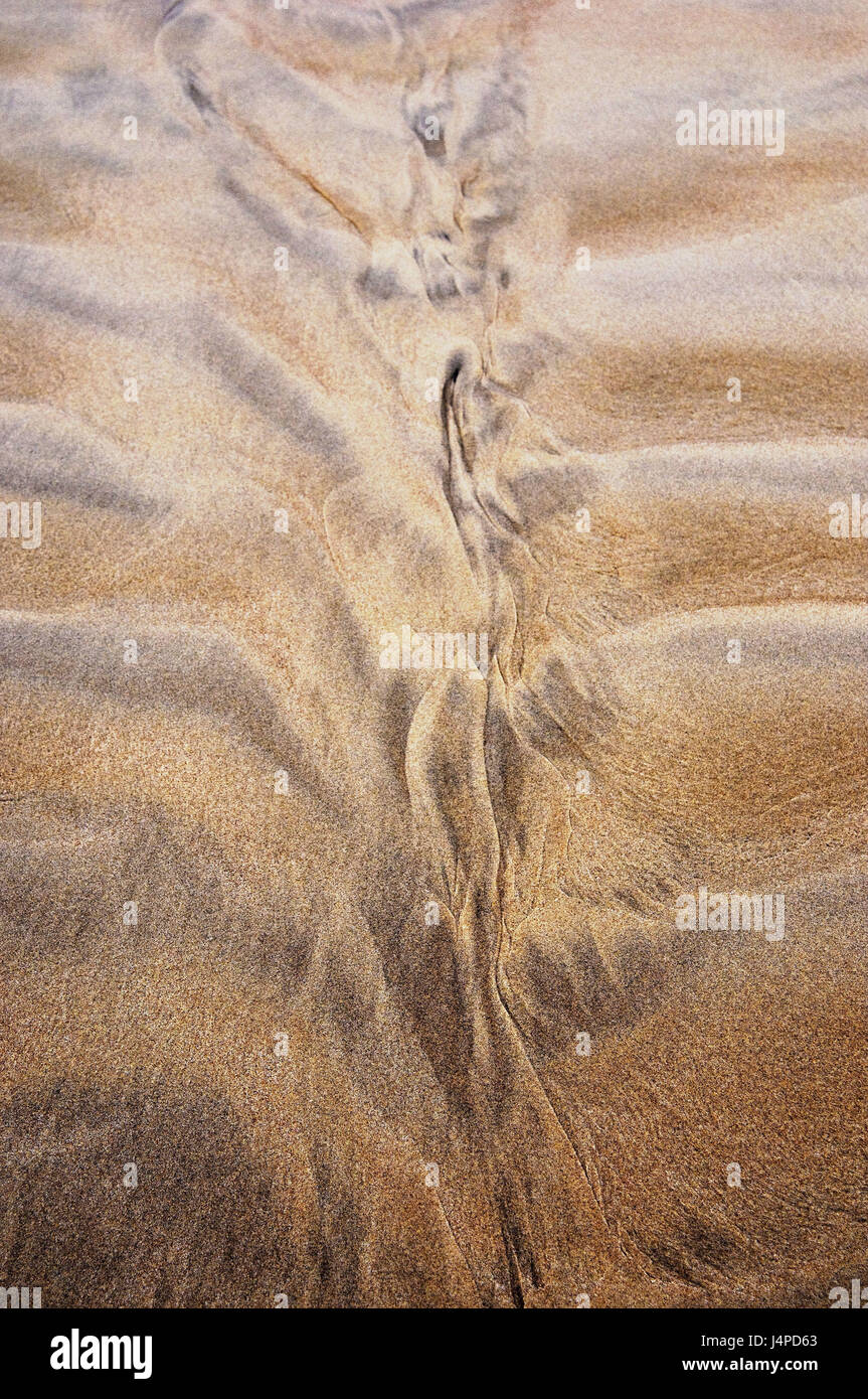 Sandy soil, close up Stock Photo - Alamy