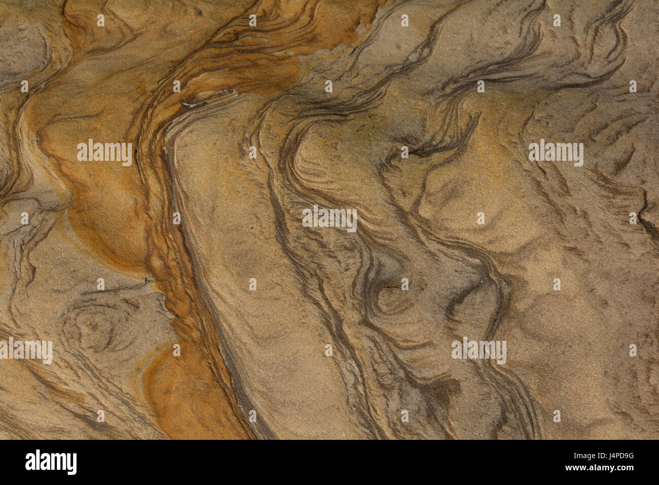 Sedimentary rocks with contour patterns Stock Photo - Alamy