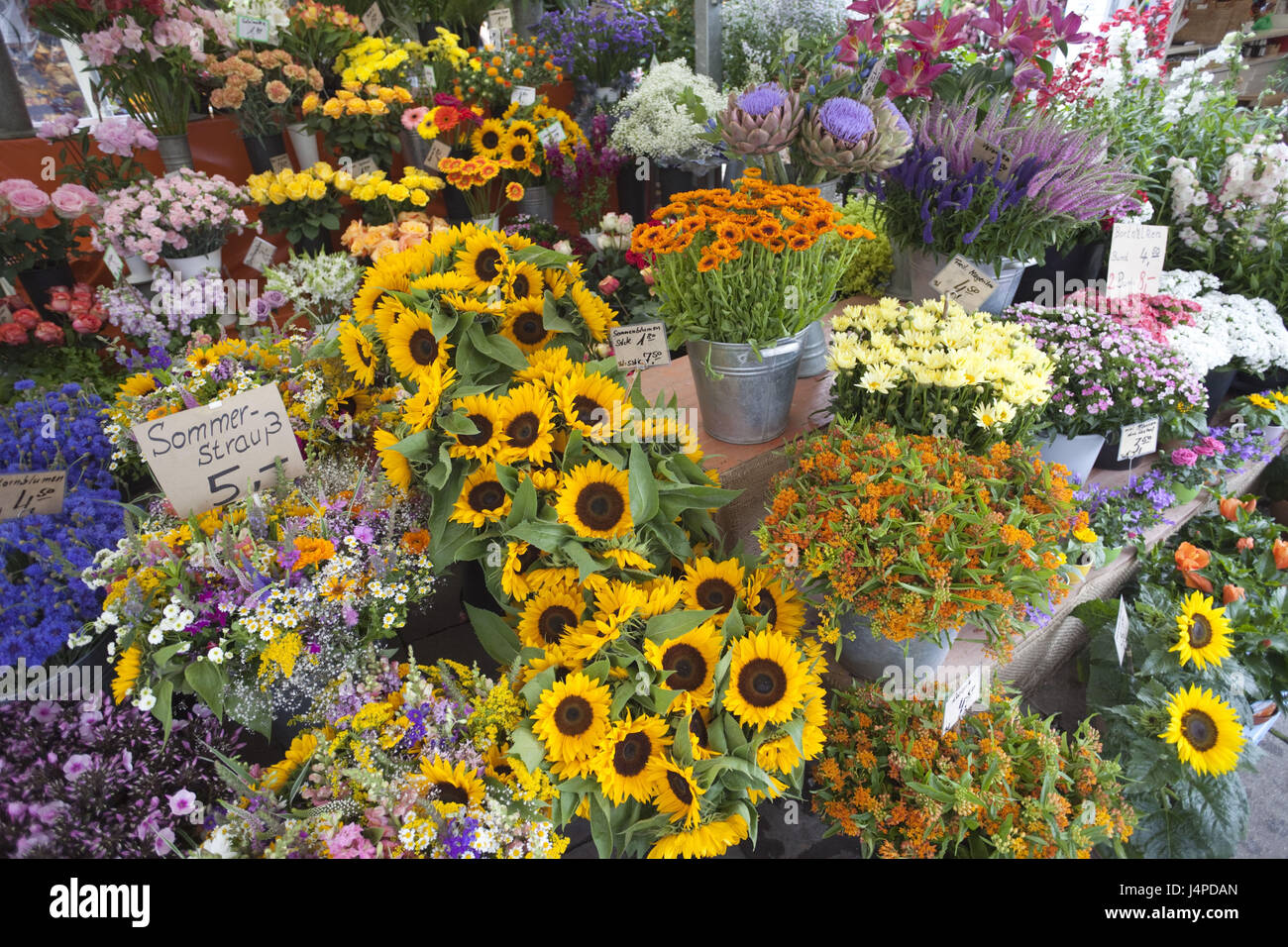 Germany, Bavaria, Munich, Viktualienmarkt, flower stand, detail Stock ...