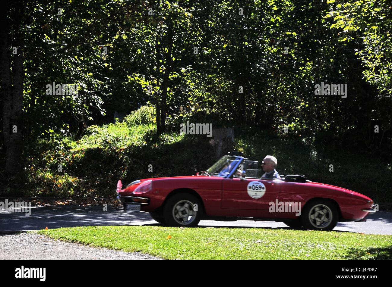 Car sport, historical mountain race, old-timer Alfa Romeo Duetto Stock ...
