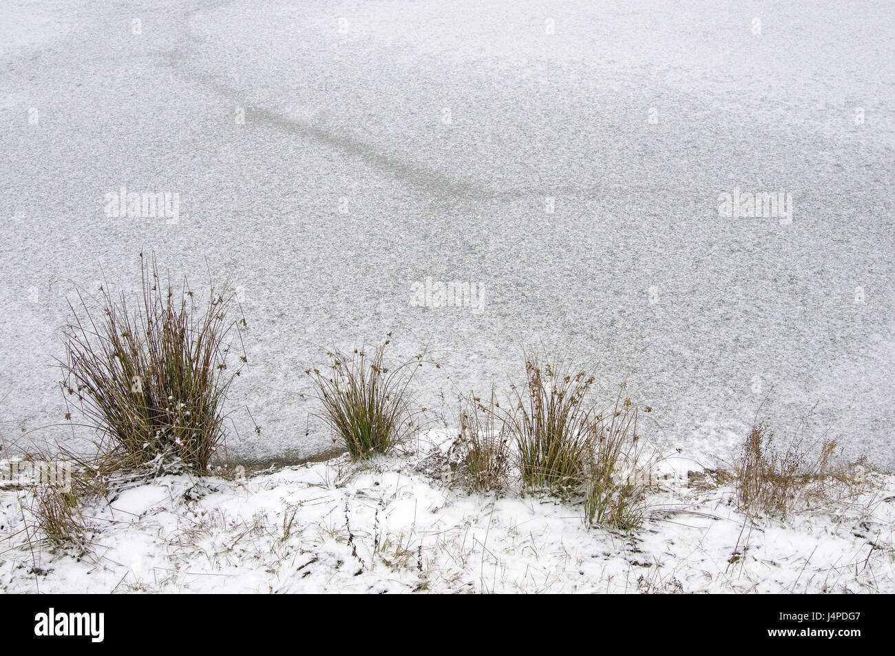 Lakeside snow ice cover hi-res stock photography and images - Alamy