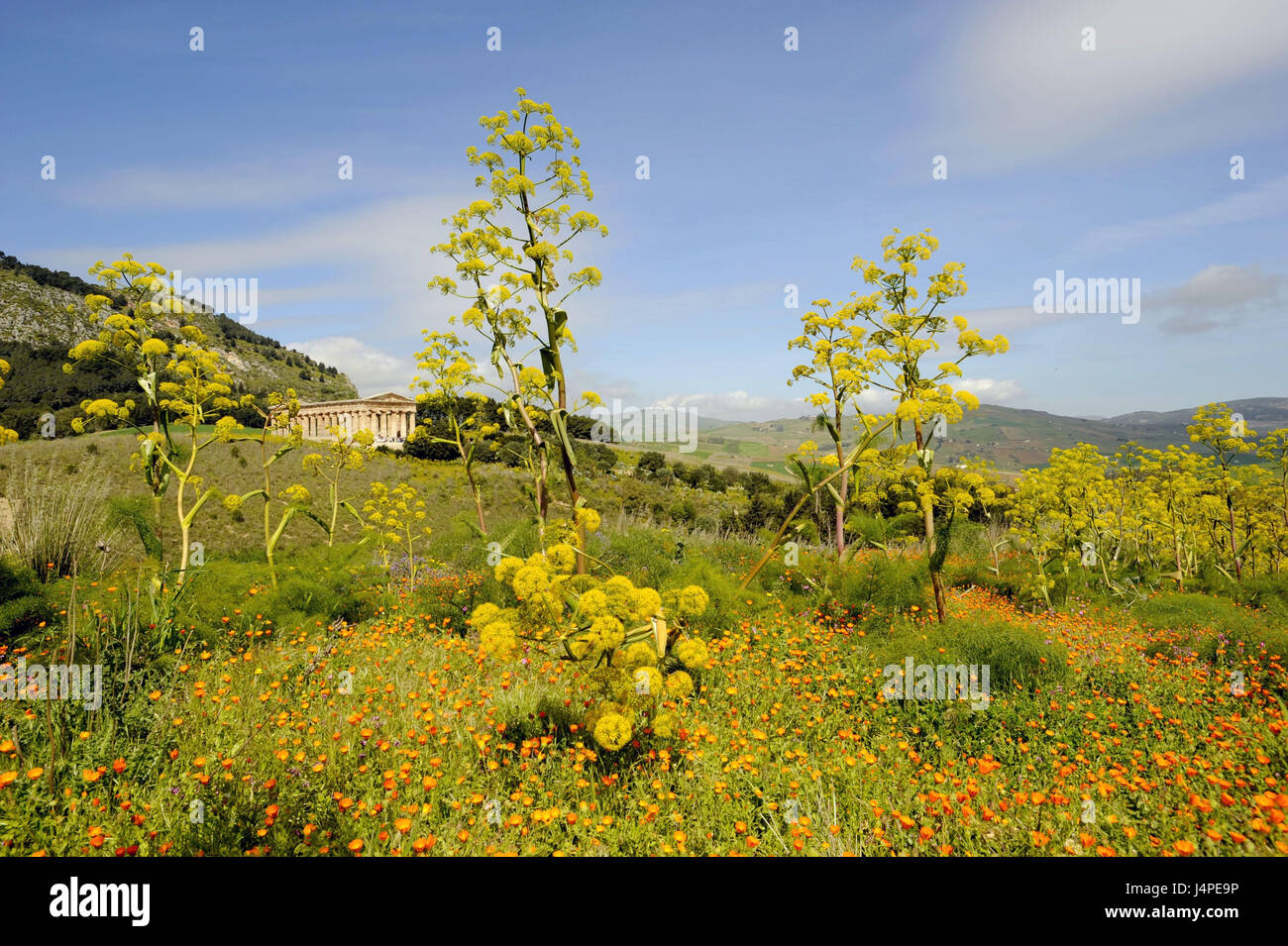 Italy, Sicily, Segesta, temple, scenery Stock Photo - Alamy