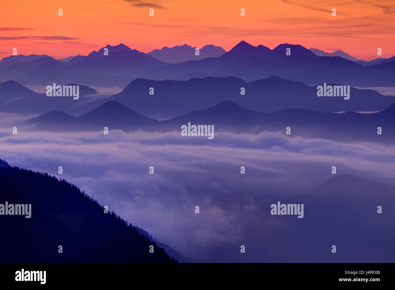 Germany, Bavaria, Upper Bavaria, Bavarian alps, Isar angles, col ...