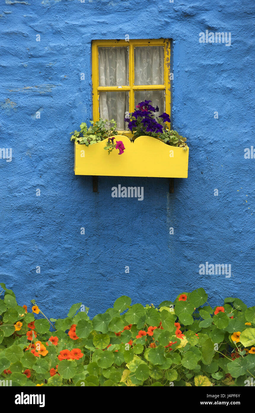 House window in cork hi-res stock photography and images - Alamy