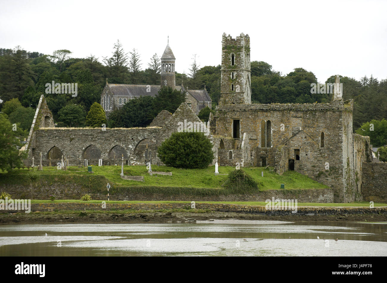 Ireland, Munster, Cork county, Timoleague, Timoleague Friary Stock ...
