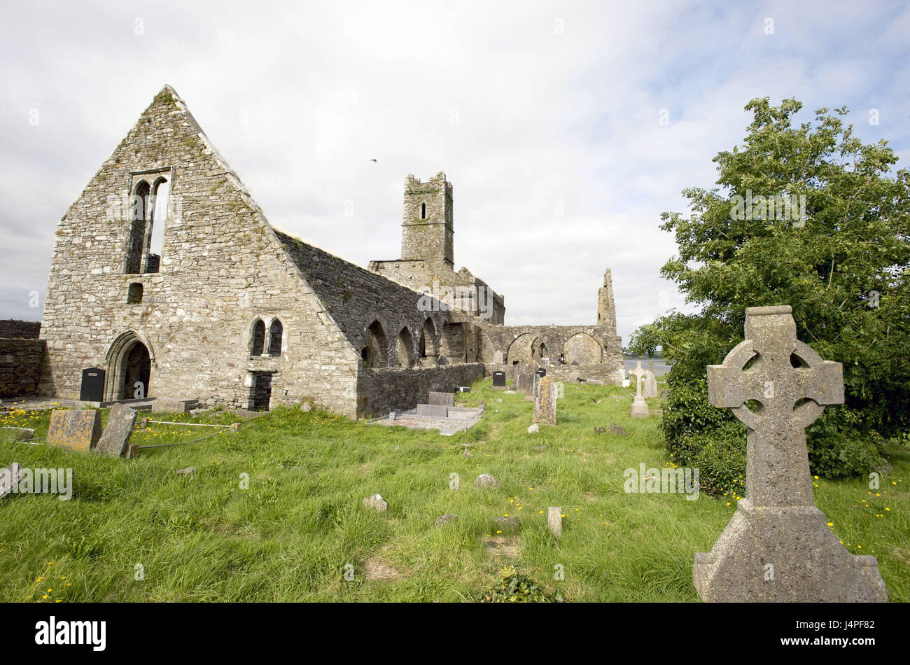 Ireland, Munster, Cork county, Timoleague, Timoleague Friary Stock ...